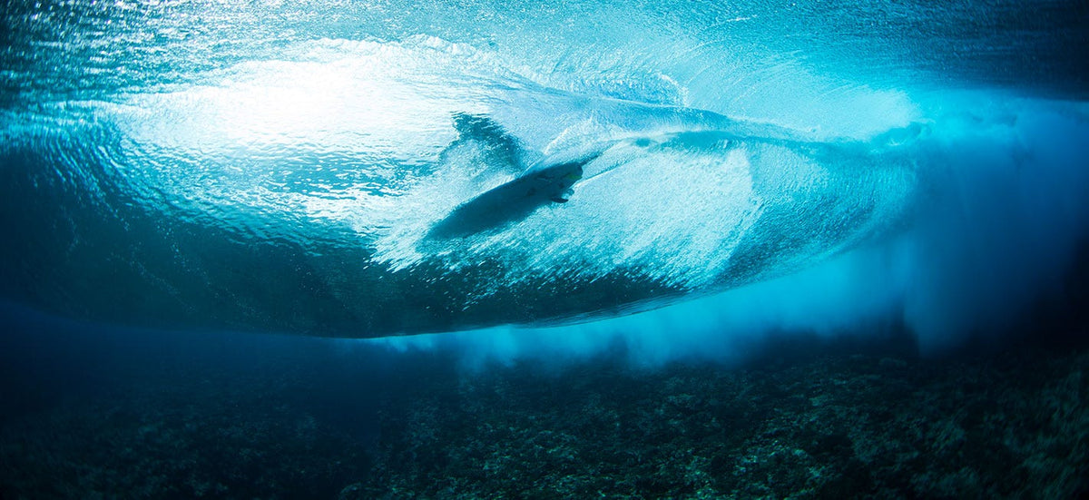 Rip Curl Planet | Rip Curl Canada